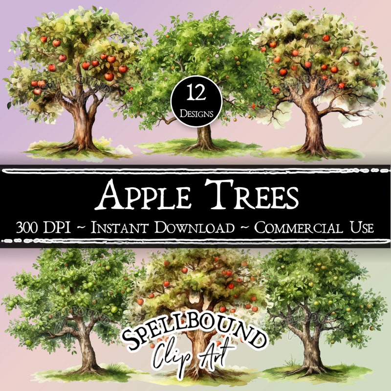 Transparent Apple Tree - Etsy