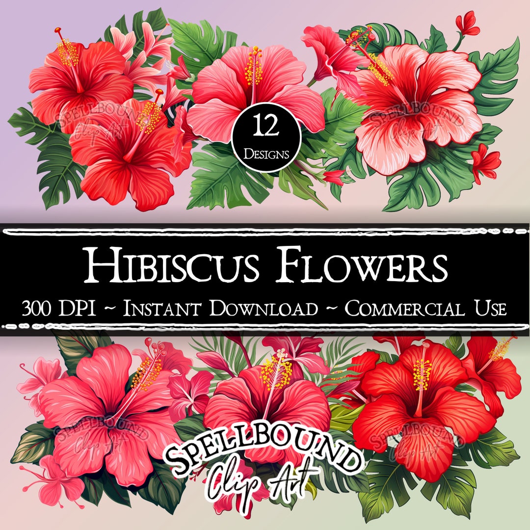 Hibiscus Flowers Digital Clipart, Commercial Use, Instant Download ...
