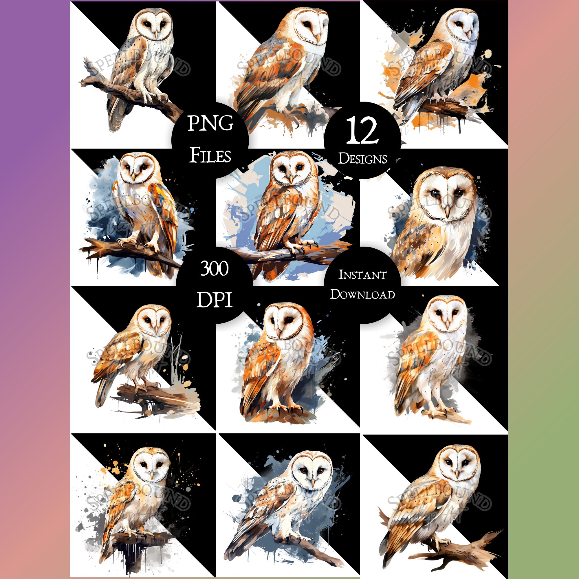 Barn Owl Digital Clipart, Commercial Use, Instant Download, Bird Clip ...