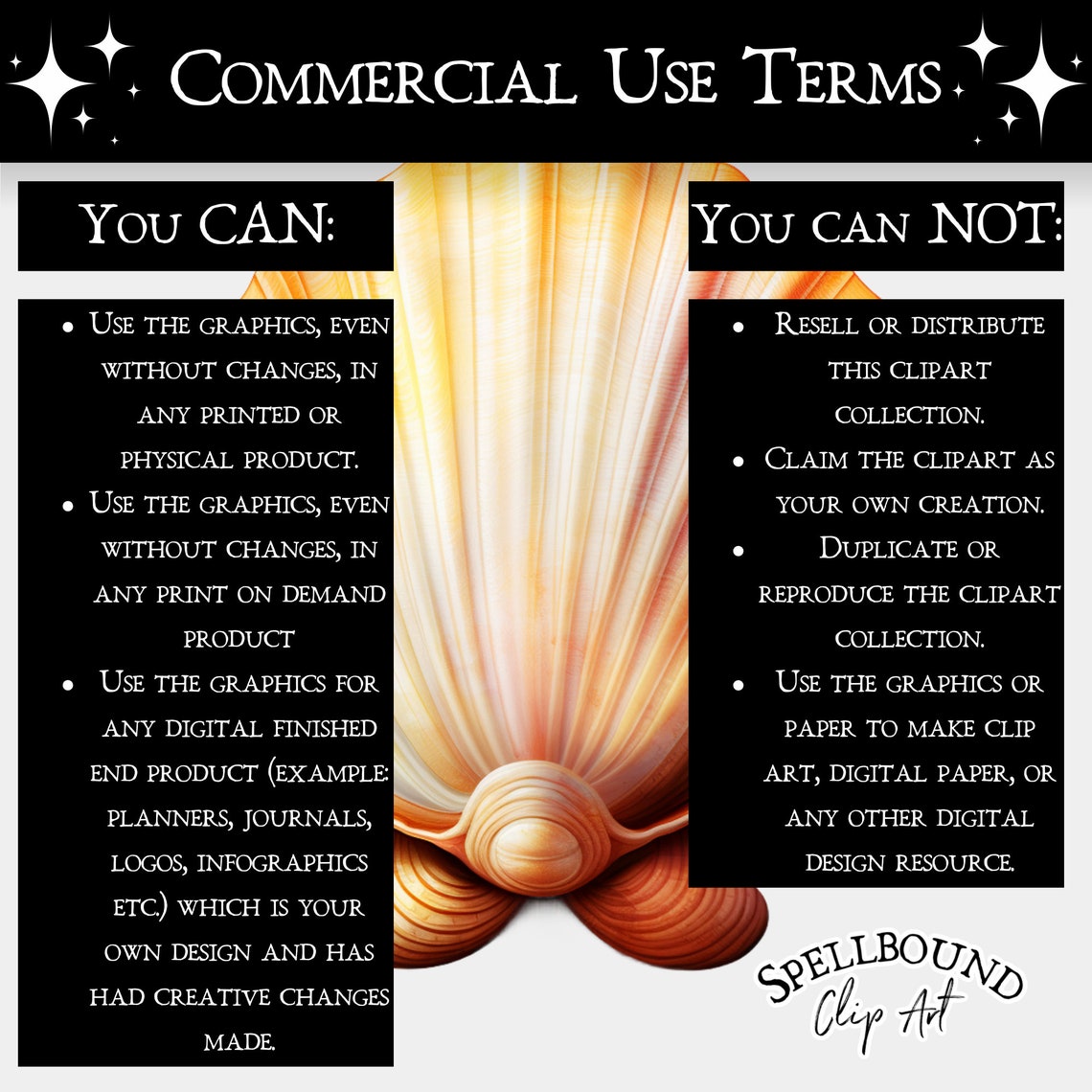 Seashells Digital Clipart, Commercial Use, Instant Download, Summer ...