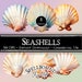 Seashells Digital Clipart, Commercial Use, Instant Download, Summer ...