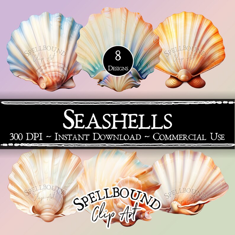 Seashells Digital Clipart, Commercial Use, Instant Download, Summer ...