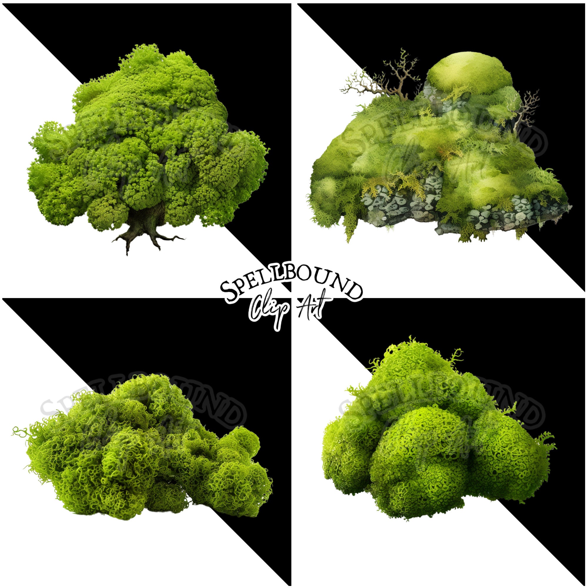 Moss Clusters Digital Clipart, Commercial Use, Instant Download, Nature ...