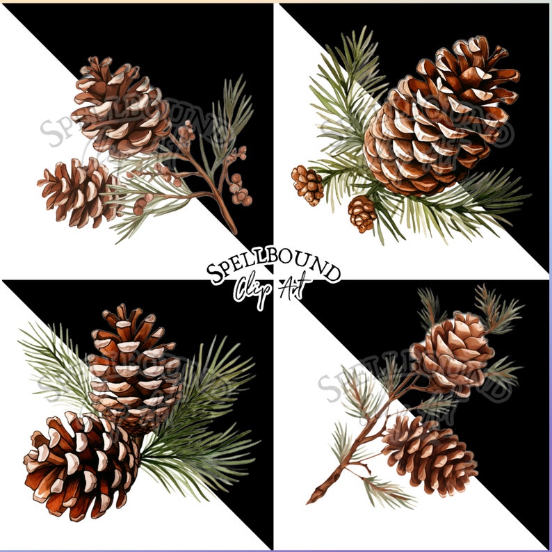 Pinecone Digital Clipart, Commercial Use, Instant Download, Christmas ...