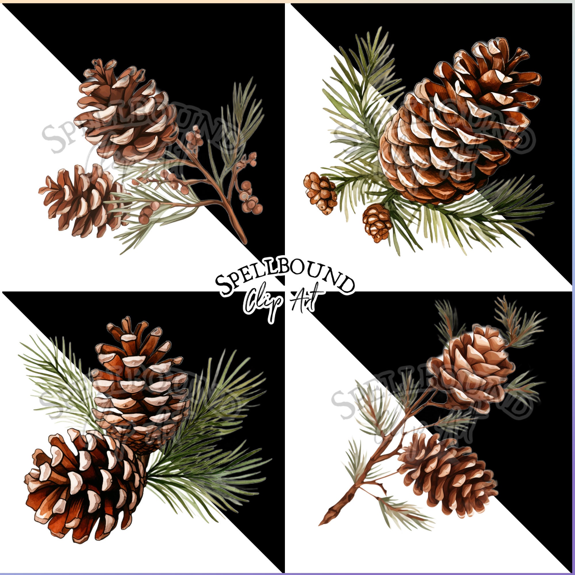 Pinecone Digital Clipart, Commercial Use, Instant Download, Christmas ...