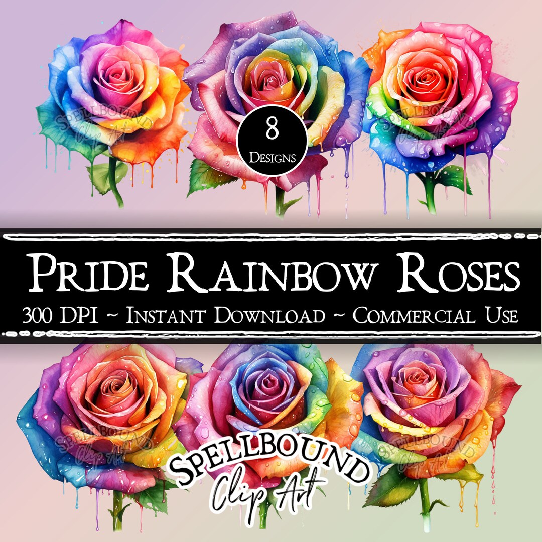 LGBTQ+ Pride Roses, Digital Clipart, Commercial Use, Instant Download ...