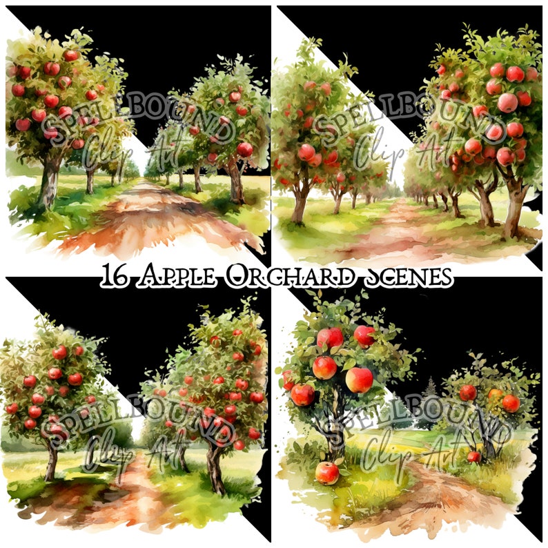 Watercolor Apple Orchard Clipart Commercial Use Instant - Etsy