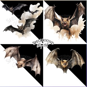 Halloween Creepy Bats Digital Clipart Commercial Use Instant Download ...