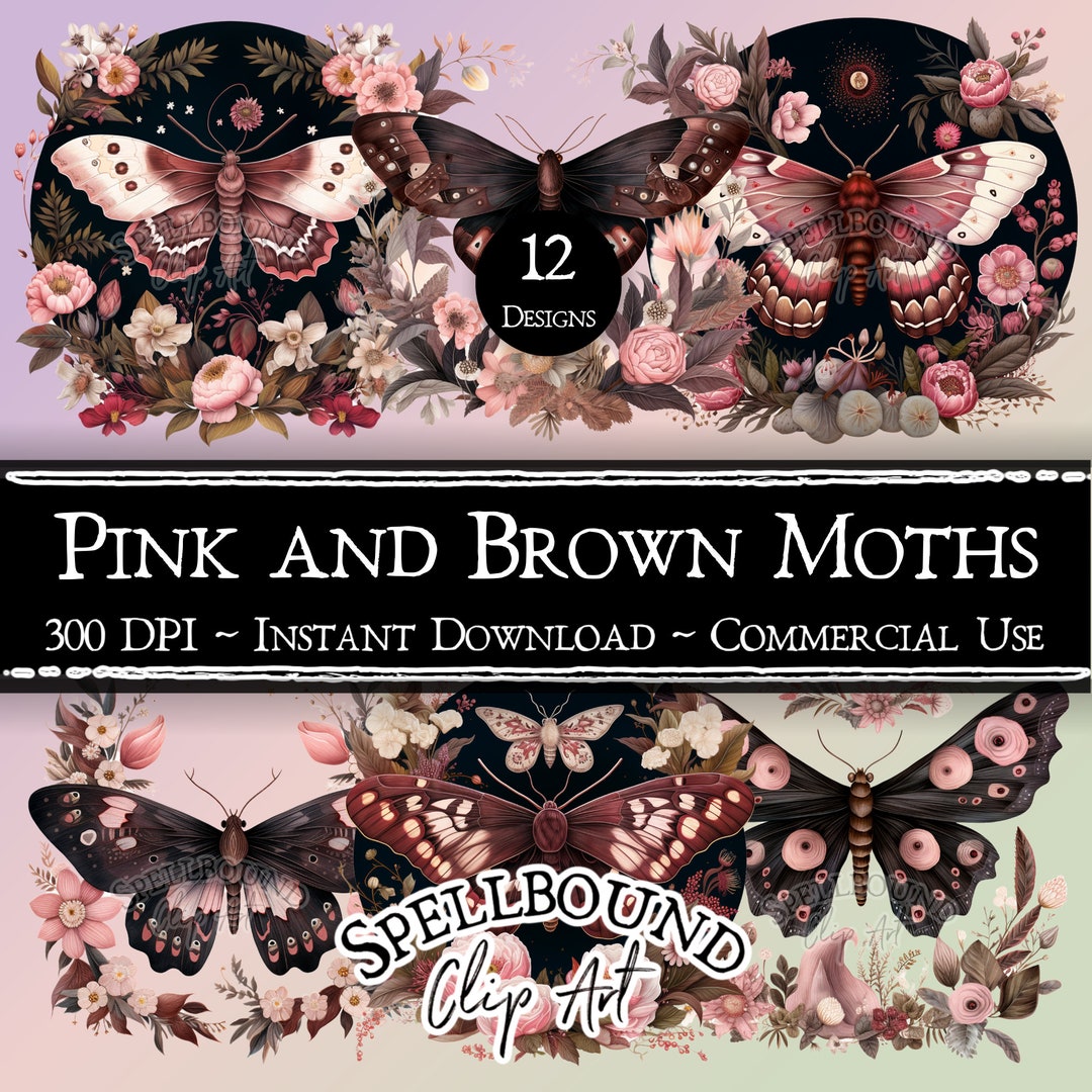 Pink & Brown Moths Digital Clipart, Commercial Use, Instant Download ...
