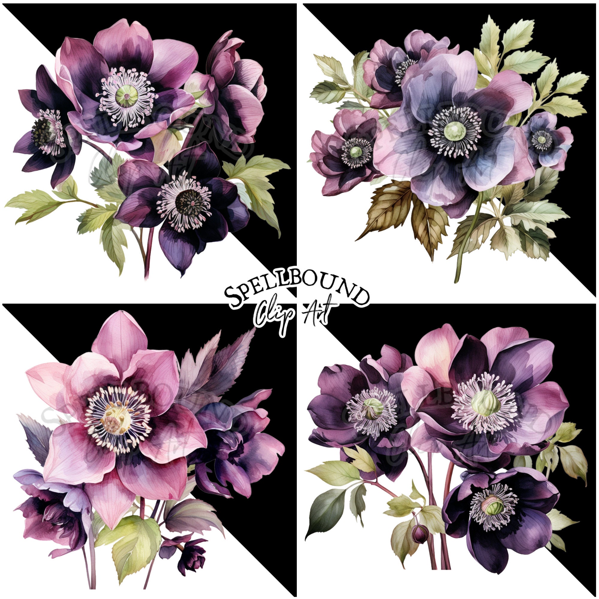 Dark Hellebore Flowers Digital Clipart, Commercial Use, Instant ...