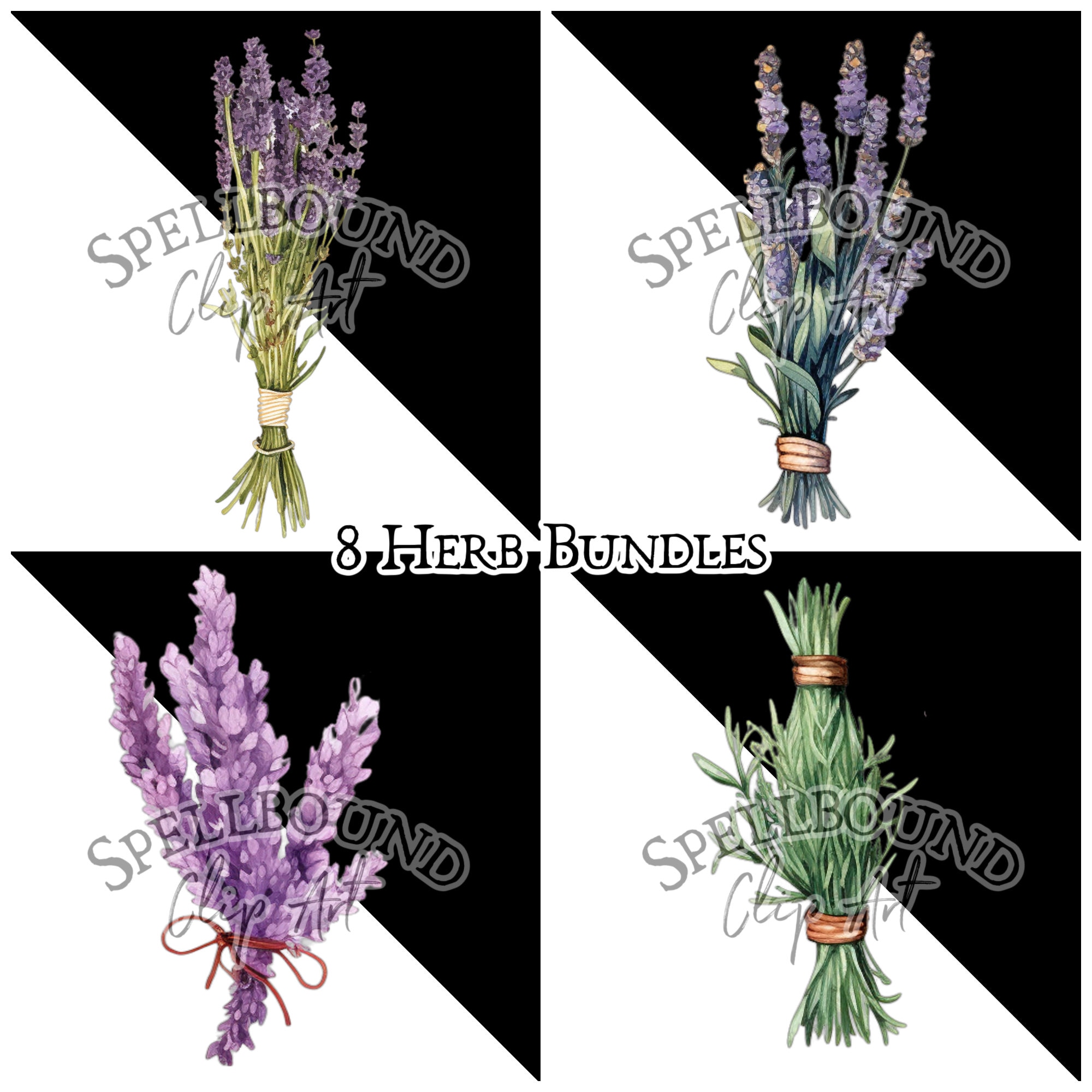 Herb Bundles Digital Clipart Commercial Use Instant - Etsy