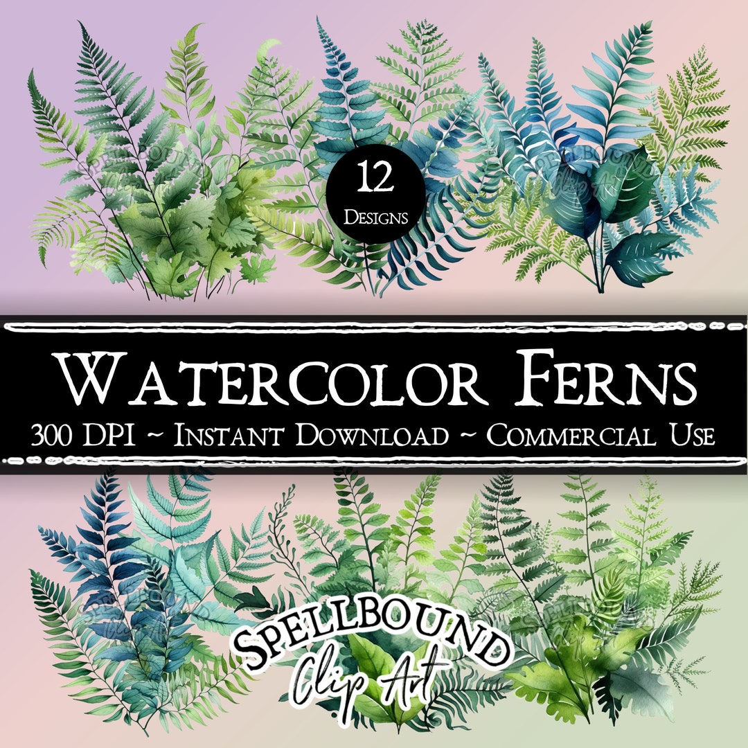 Watercolor Ferns Digital Clipart, Commercial Use, Instant Download ...