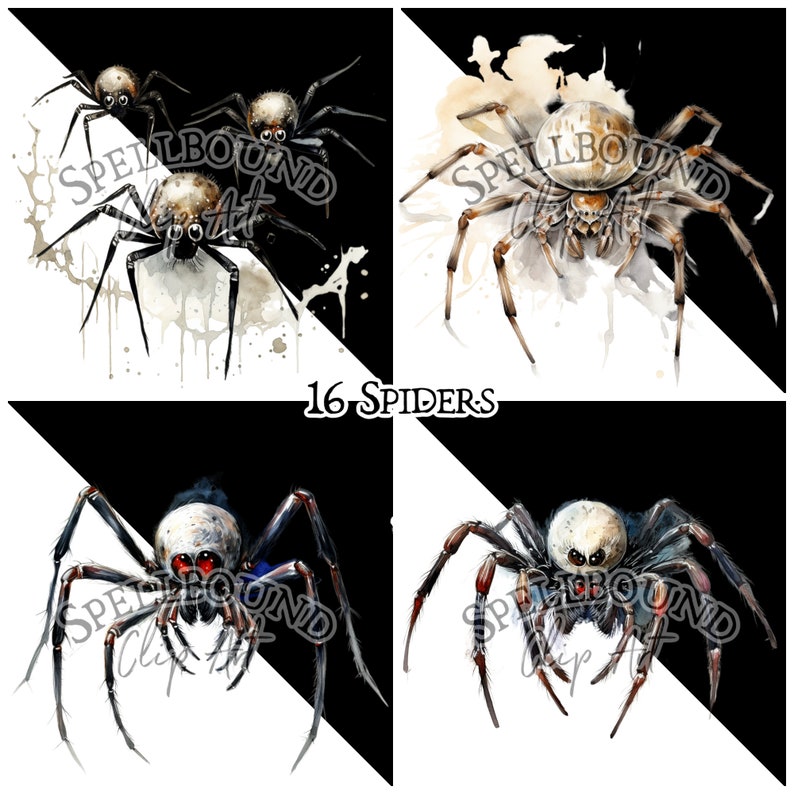 Spiders Digital Clipart Commercial Use Instant Download - Etsy