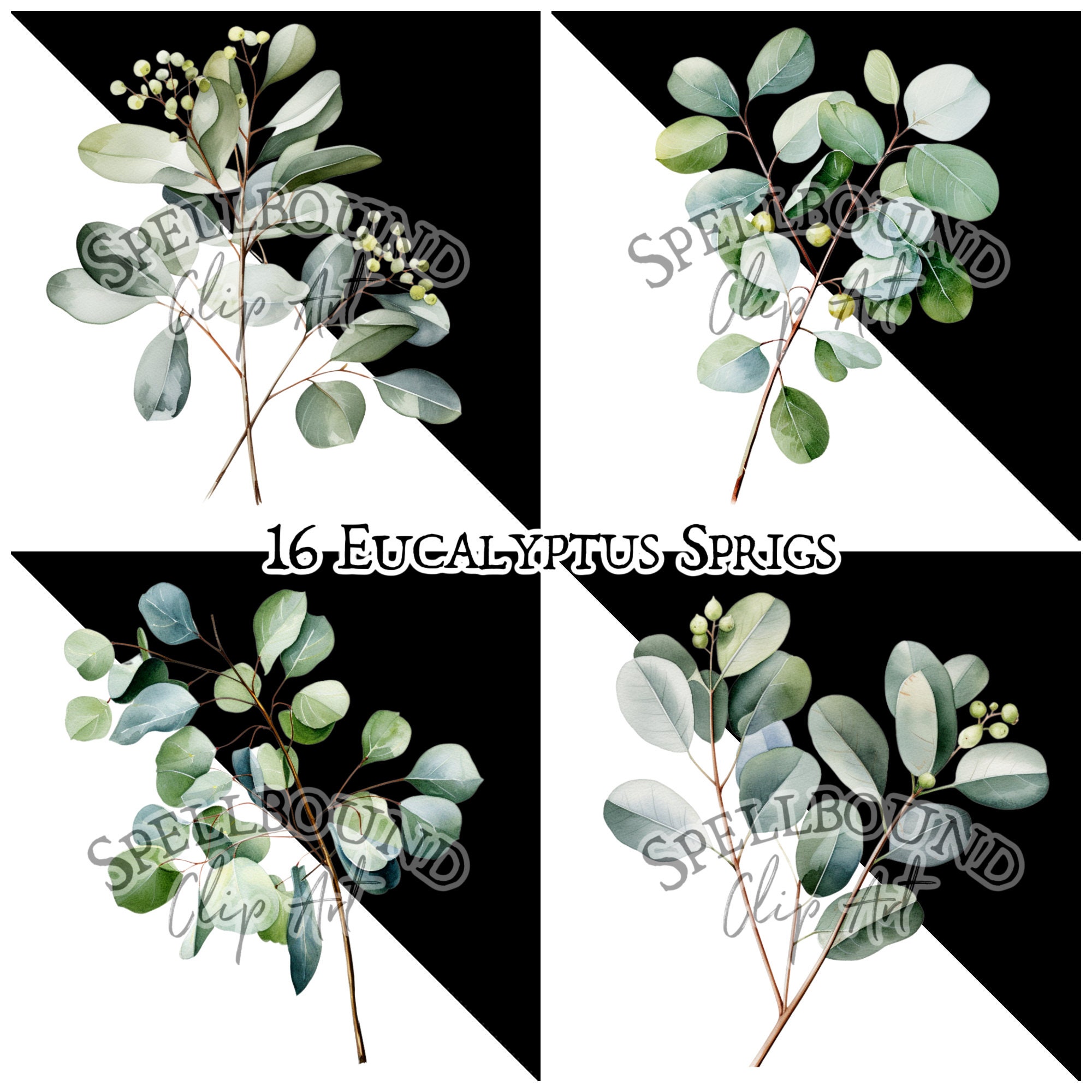 Eucalyptus Sprigs Clipart Commercial Use Instant Download - Etsy