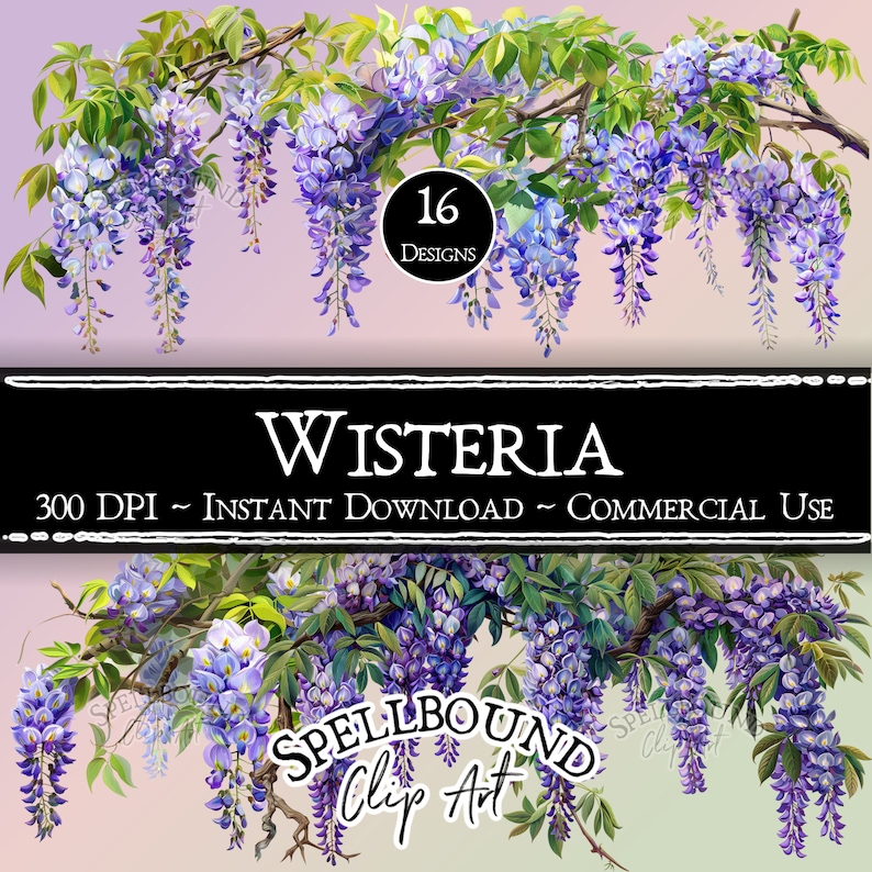 Wisteria Digital Clipart, Commercial Use, Instant Download, Bouquet ...