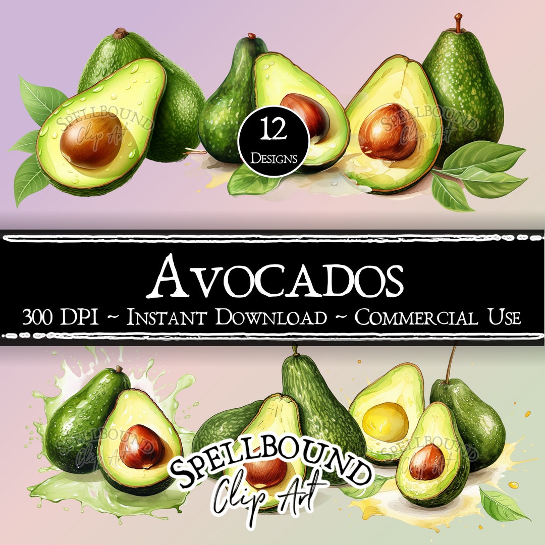 Avocado Digital Clipart, Commercial Use, Instant Download, Guacamole Clipart Fruit and Vegetable ...