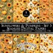 Sunflower and Pumpkin Digital Papers, Seamless, Commercial Use, Instant ...