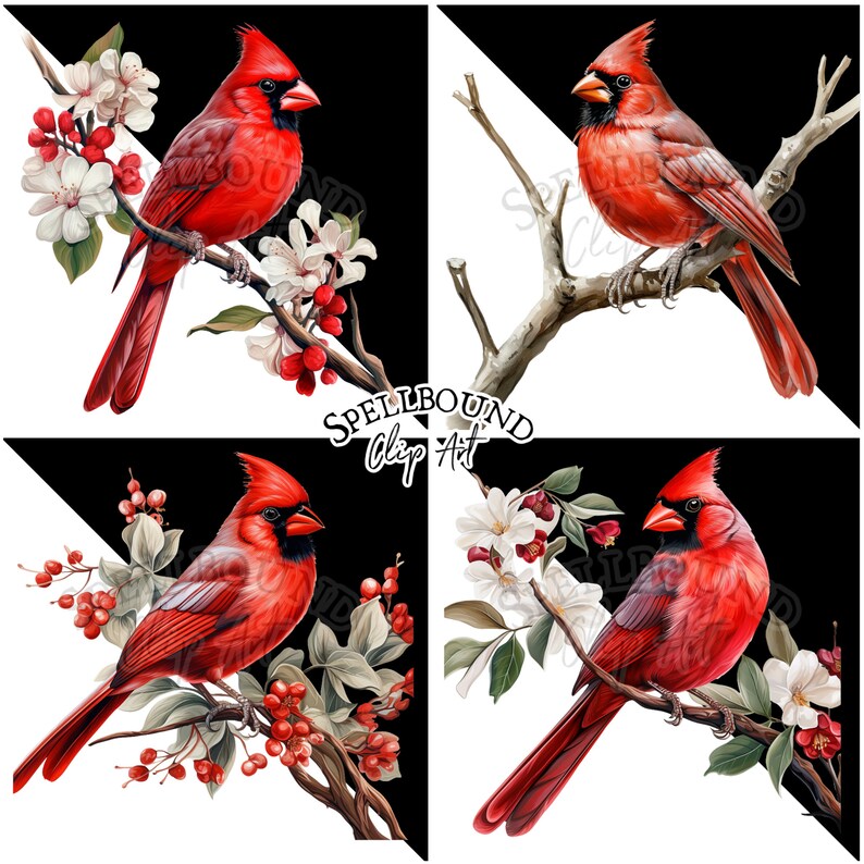 Cardinals Digital Clipart, Commercial Use, Instant Download, Bird Clip ...