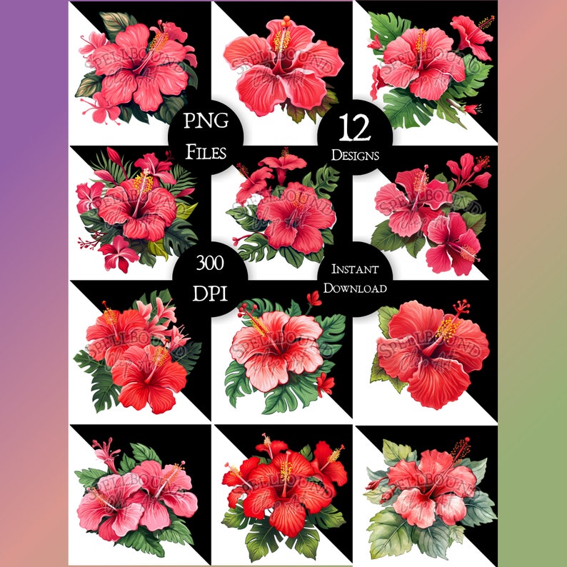 Hibiscus Flowers Digital Clipart, Commercial Use, Instant Download ...