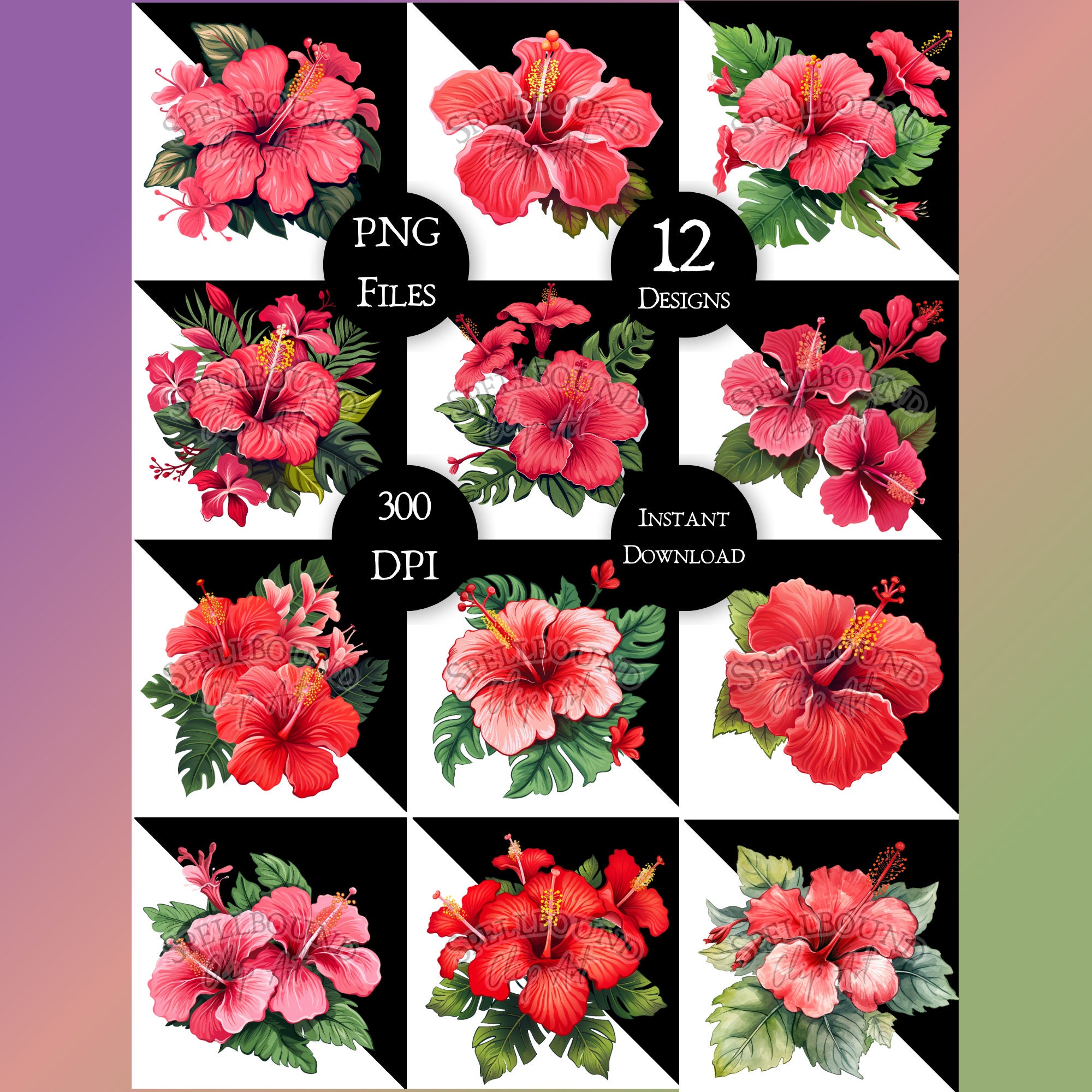 Hibiscus Flowers Digital Clipart, Commercial Use, Instant Download ...