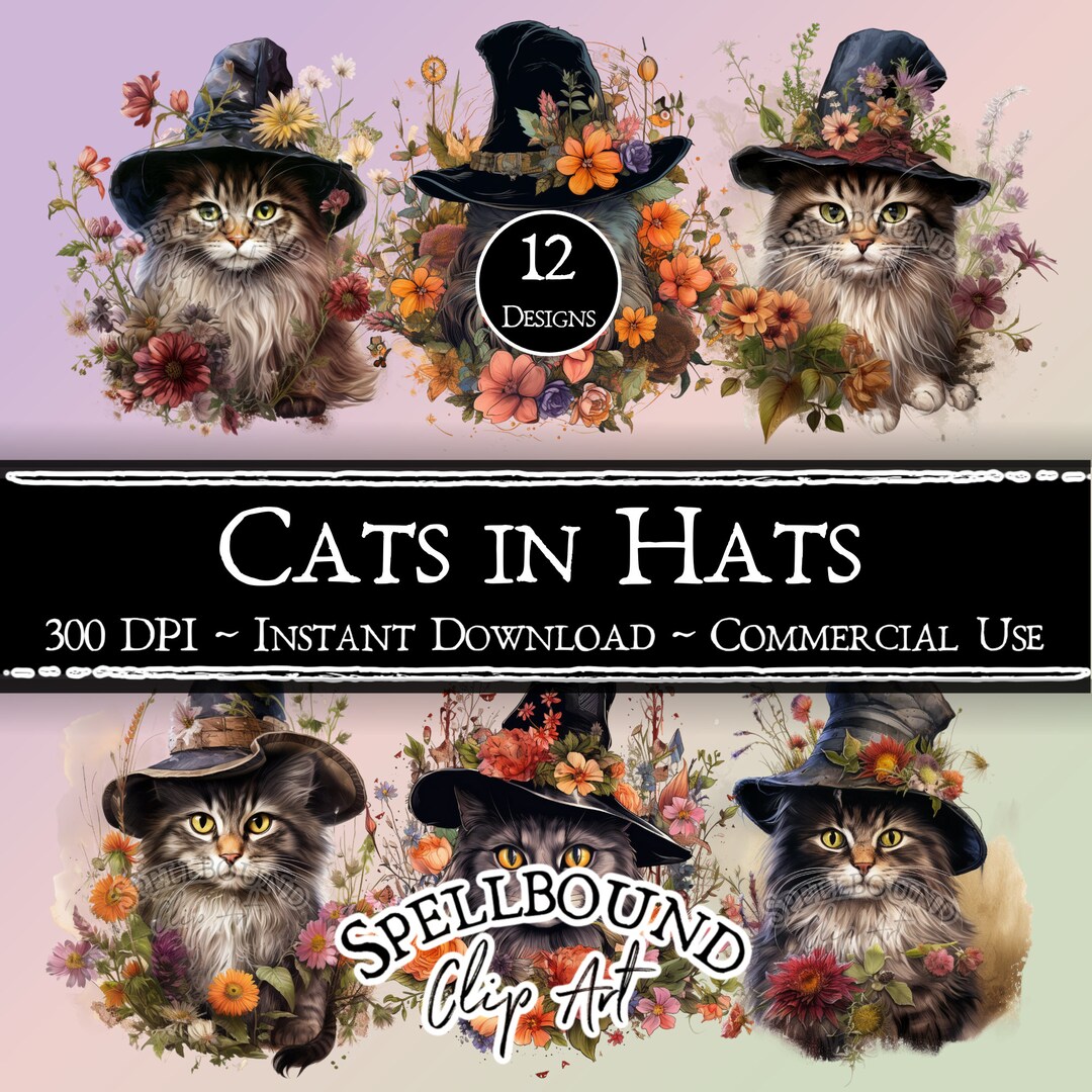 Cats in Hats Digital Clipart, Commercial Use, Instant Download, Cat ...