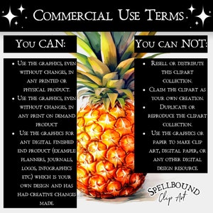 Pineapples Digital Clipart, Commercial Use, Instant Download, Summer ...