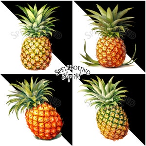 Pineapples Digital Clipart, Commercial Use, Instant Download, Summer ...