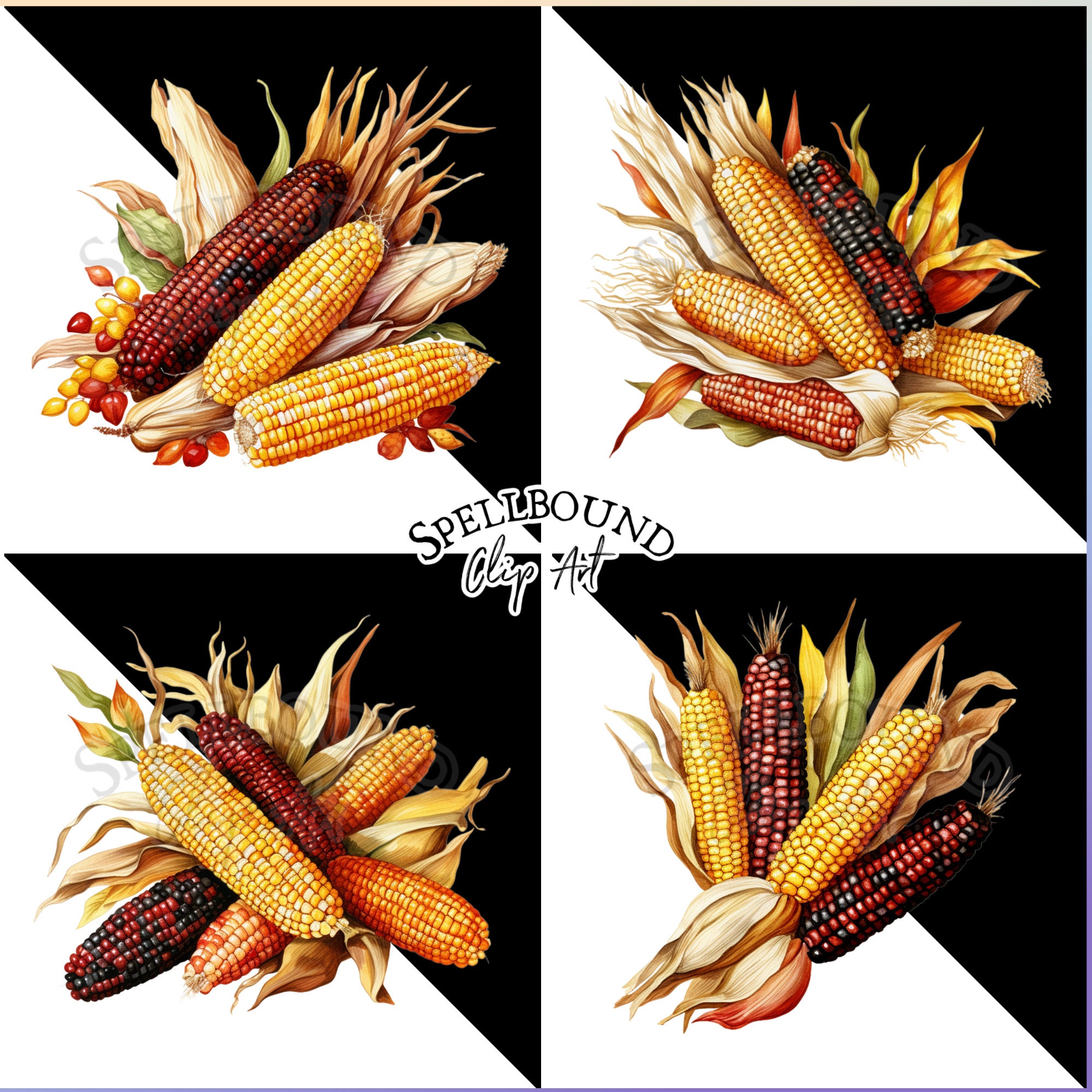Ornamental Corn Clipart, Commercial Use, Instant Download, Food Clip ...