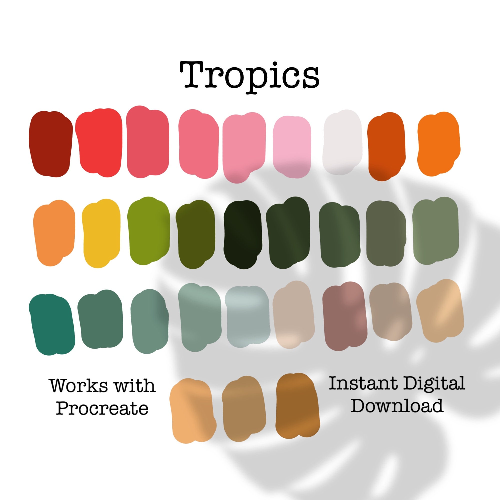 Procreate Color Palette Bundle Summer Bright Tropical | Etsy