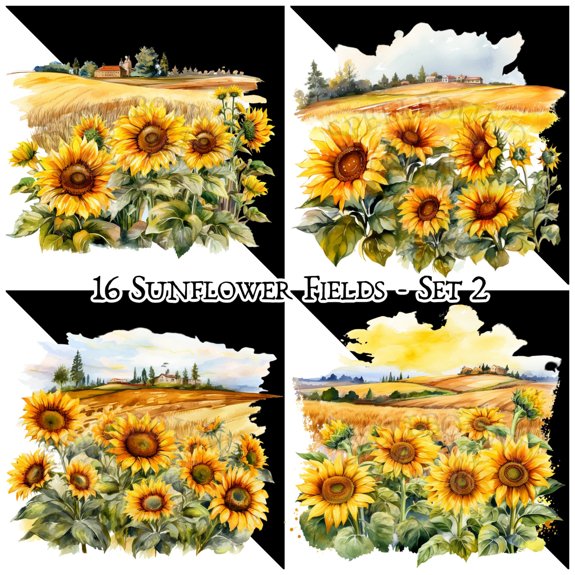 Sunflower Field Digital Clipart, Commercial Use, Instant Download ...