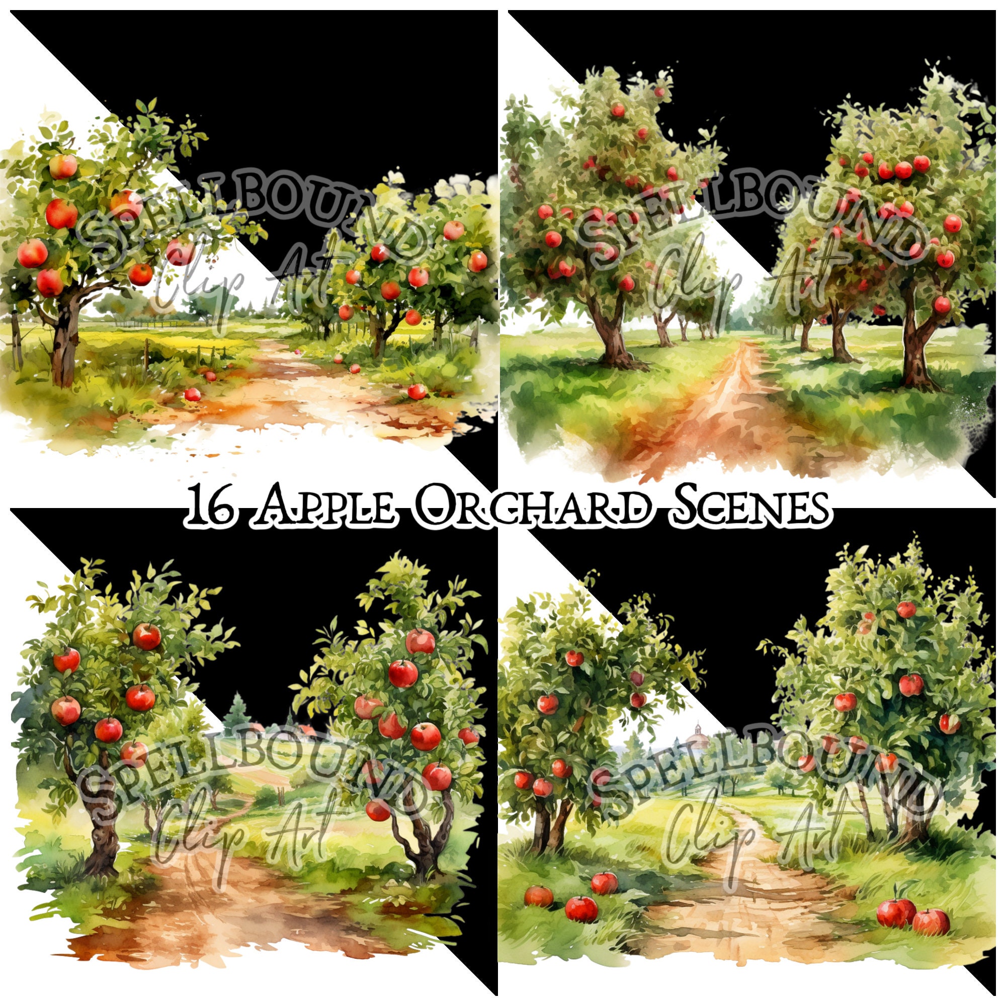 Watercolor Apple Orchard Clipart Commercial Use Instant - Etsy