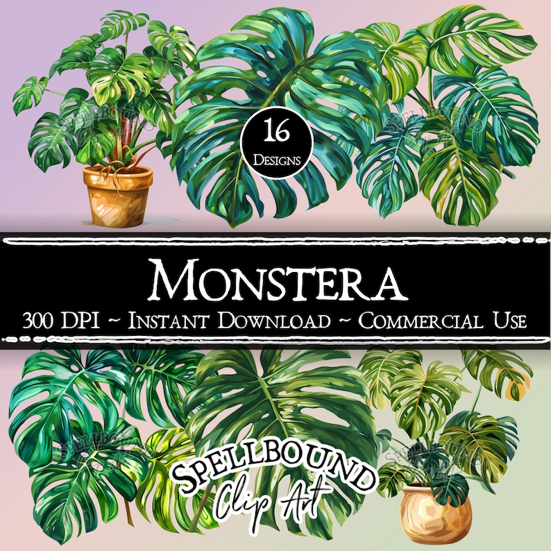 Monstera Digital Clipart, Commercial Use, Instant Download, House Plant ...