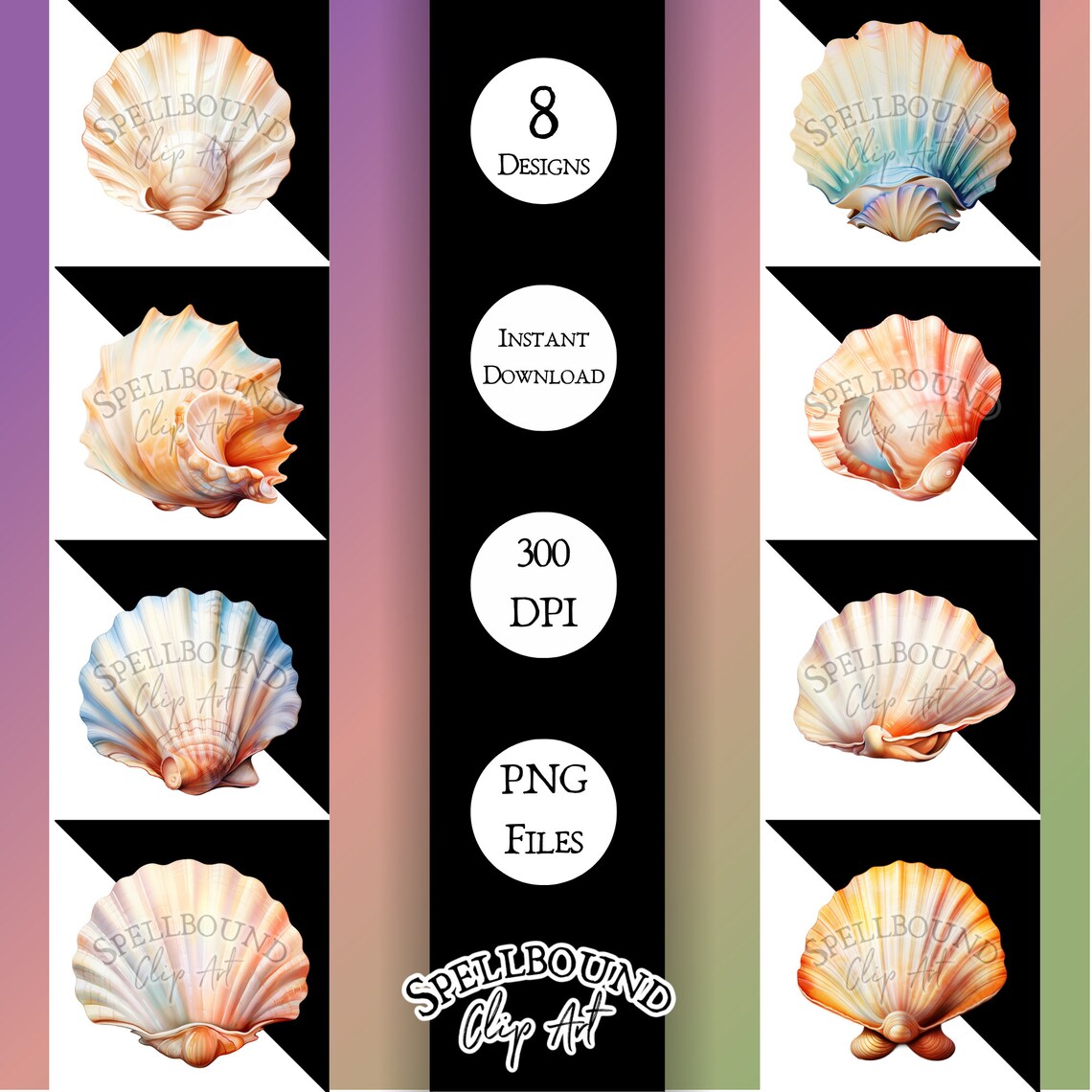 Seashells Digital Clipart, Commercial Use, Instant Download, Summer ...