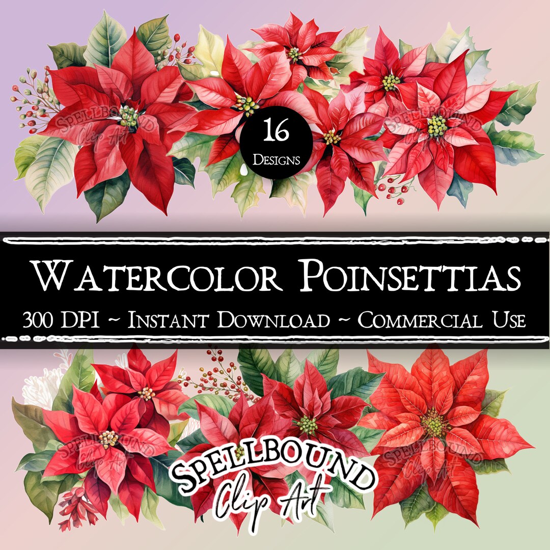 Watercolor Poinsettias Digital Clipart, Commercial Use, Instant ...
