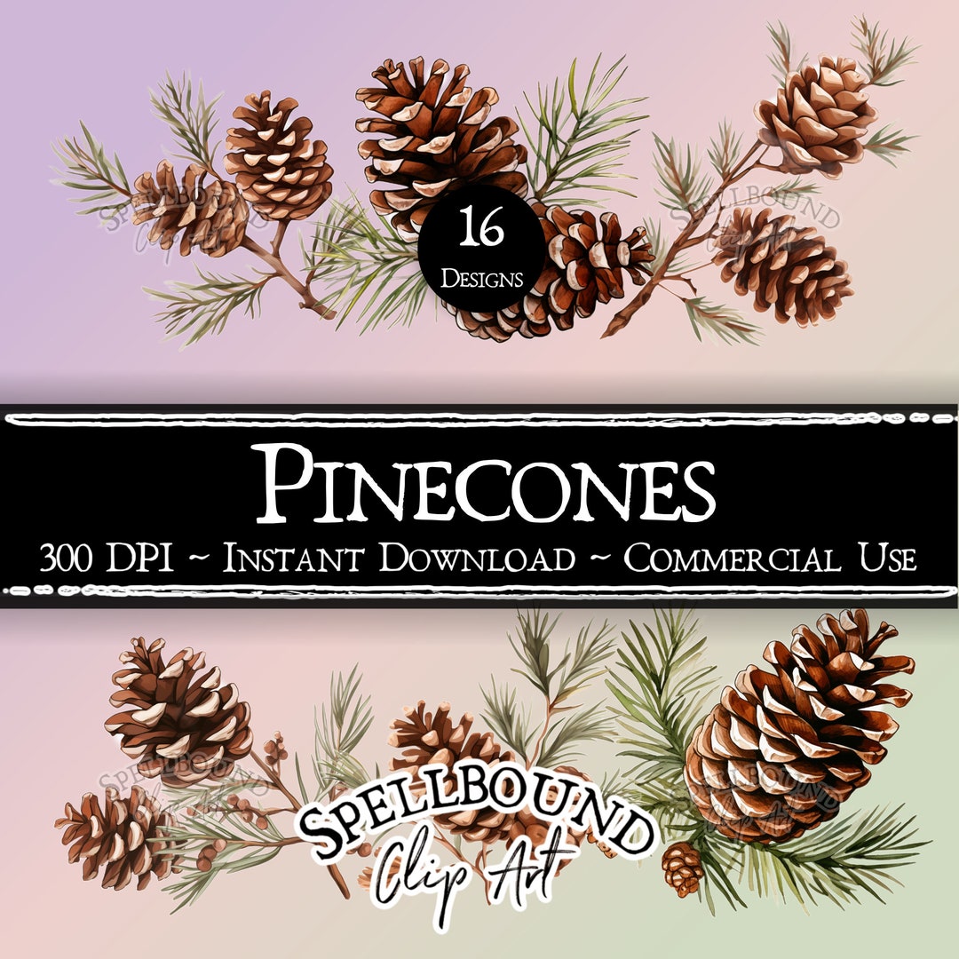 Pinecone Digital Clipart, Commercial Use, Instant Download, Christmas ...