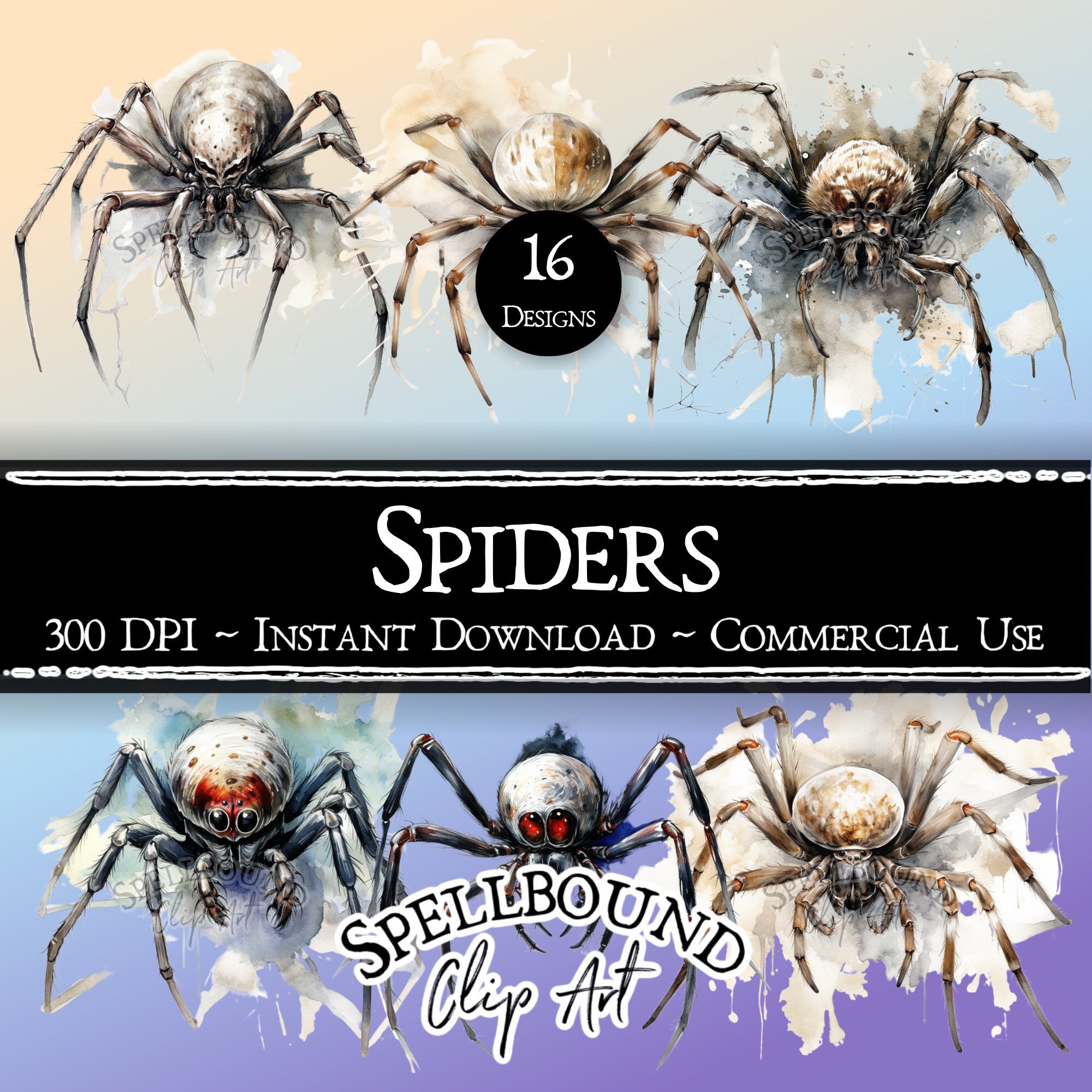 Spiders Digital Clipart, Commercial Use, Instant Download, Halloween ...