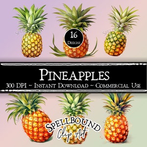 Pineapples Digital Clipart, Commercial Use, Instant Download, Summer ...