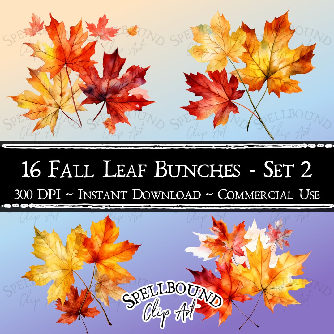 Fall Leaves Digital Clipart Commercial Use Instant Download - Etsy