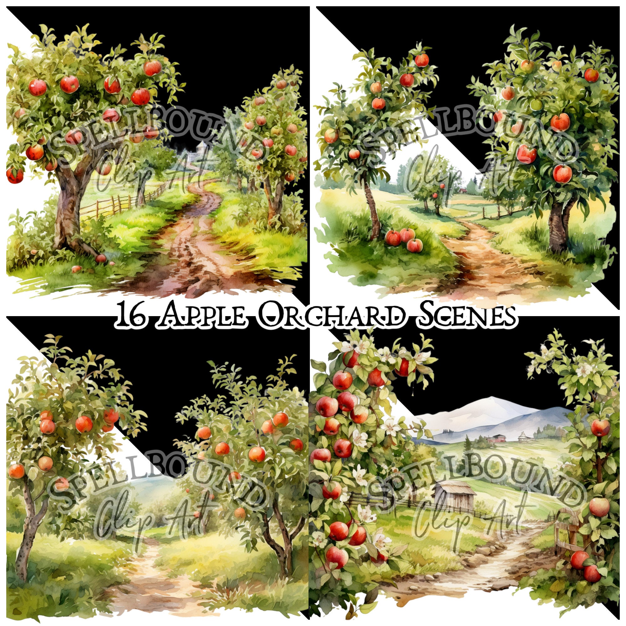 Watercolor Apple Orchard Clipart Commercial Use Instant - Etsy