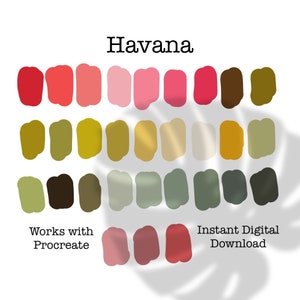 Procreate Color Palette Bundle Summer Bright Tropical | Etsy