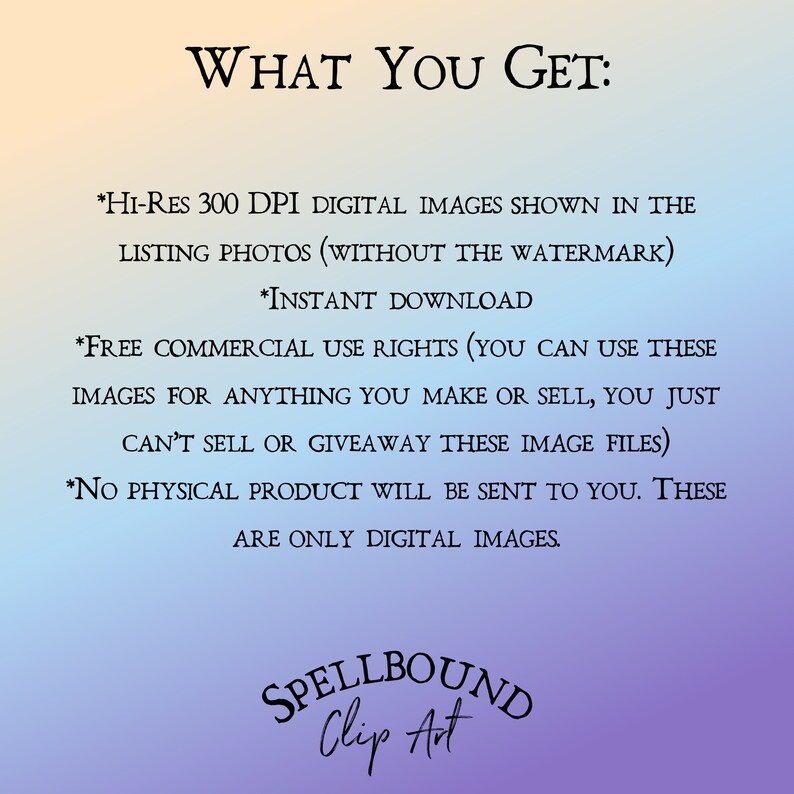 Spooky Spiders Digital Clipart Commercial Use Instant - Etsy