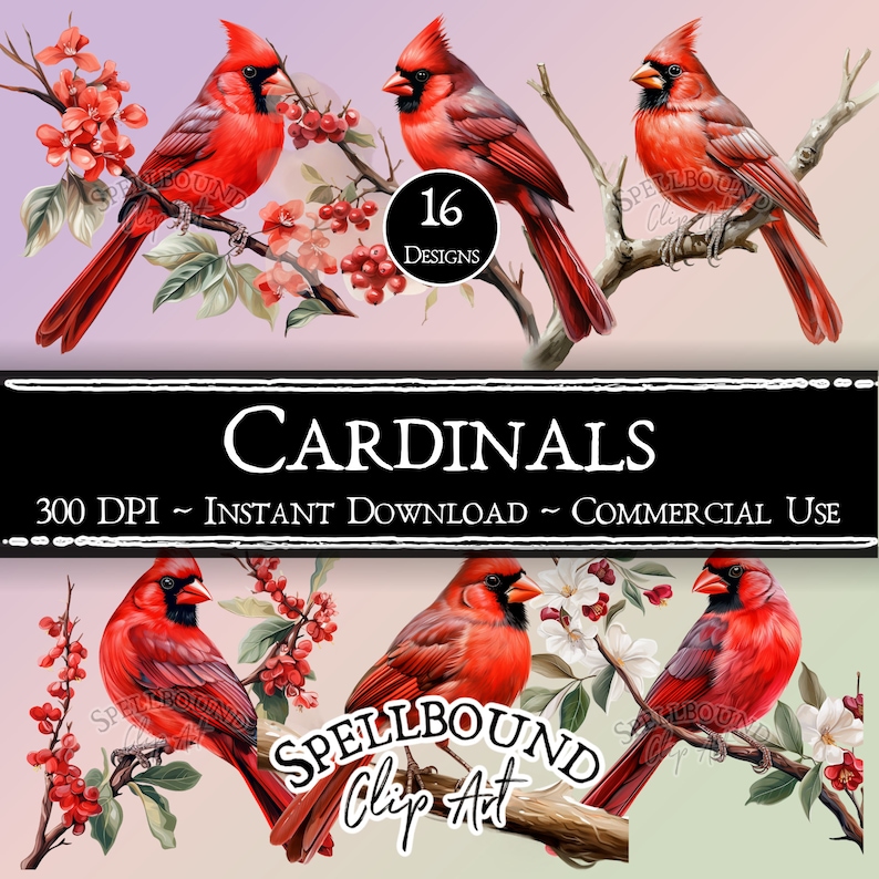 Cardinals Digital Clipart, Commercial Use, Instant Download, Bird Clip ...