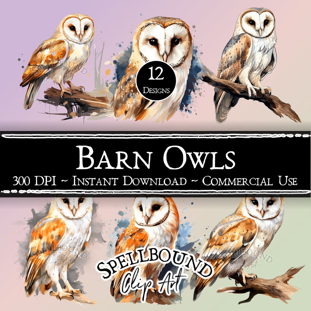 Barn Owl Digital Clipart, Commercial Use, Instant Download, Bird Clip ...