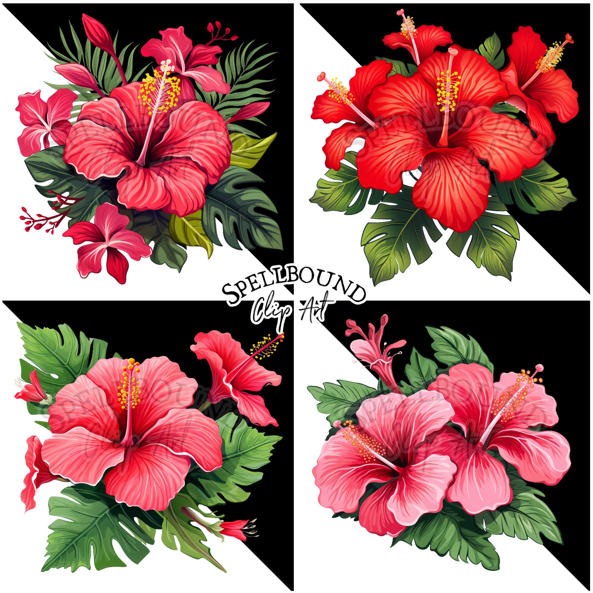 Hibiscus Flowers Digital Clipart, Commercial Use, Instant Download ...