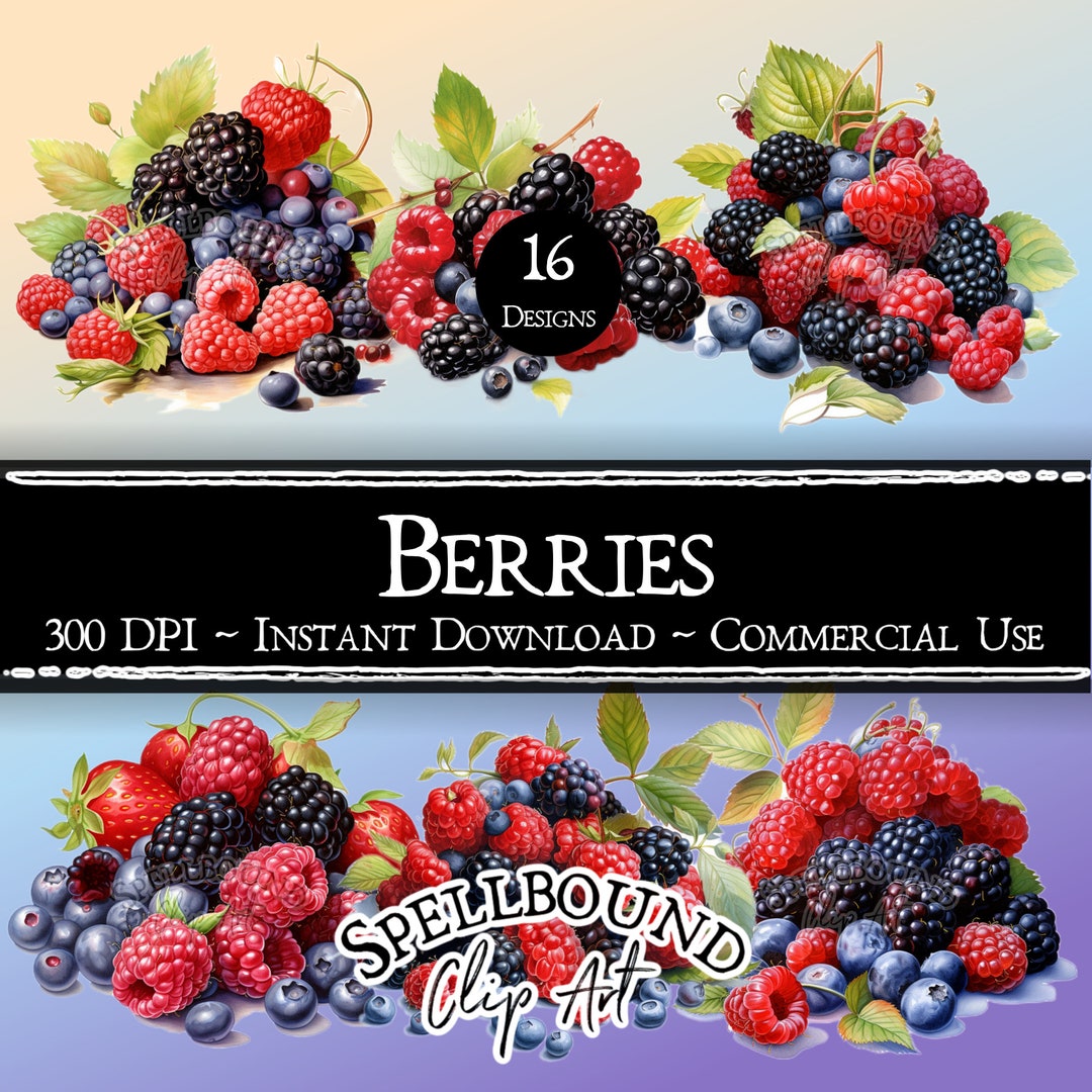 Berry Clipart, Commercial Use, Instant Download, Food Clip Art ...