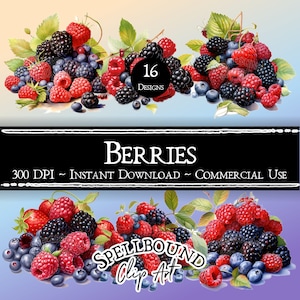 Berry Clipart, Commercial Use, Instant Download, Food Clip Art ...