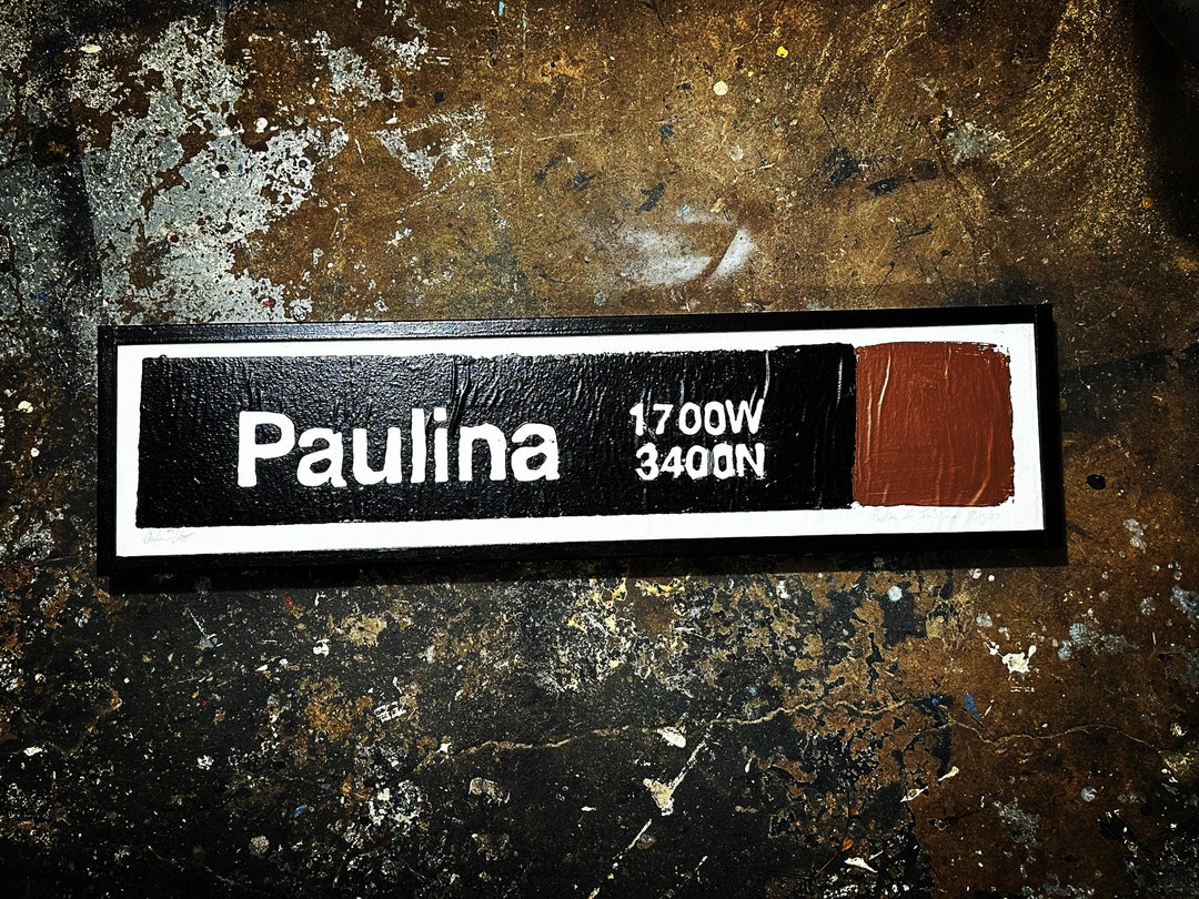 Paulina Brown Line L Train Sign, Paulina Train Station Poster, Paulina ...