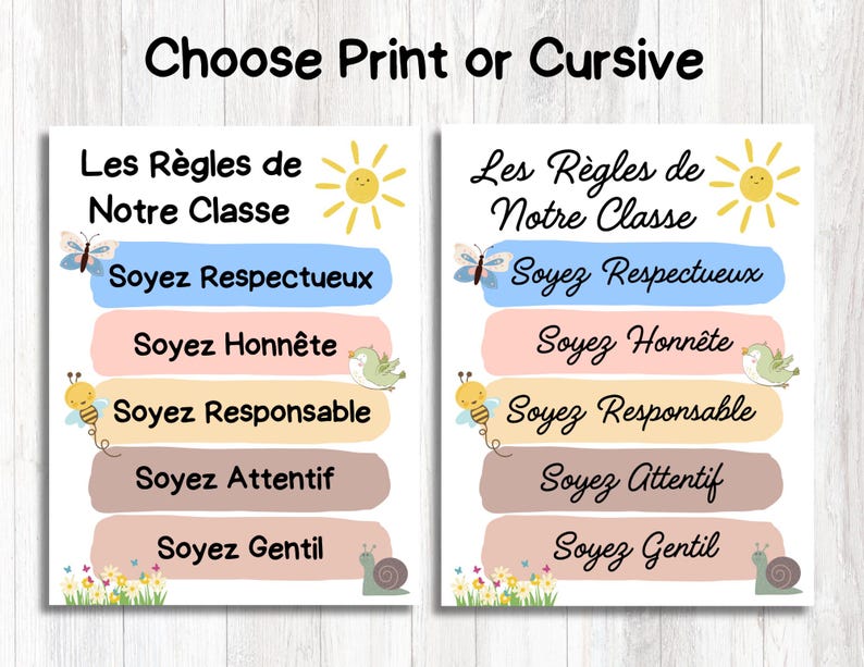 French Class Rules Poster: Pastel Classroom Decor (PDF) - Etsy