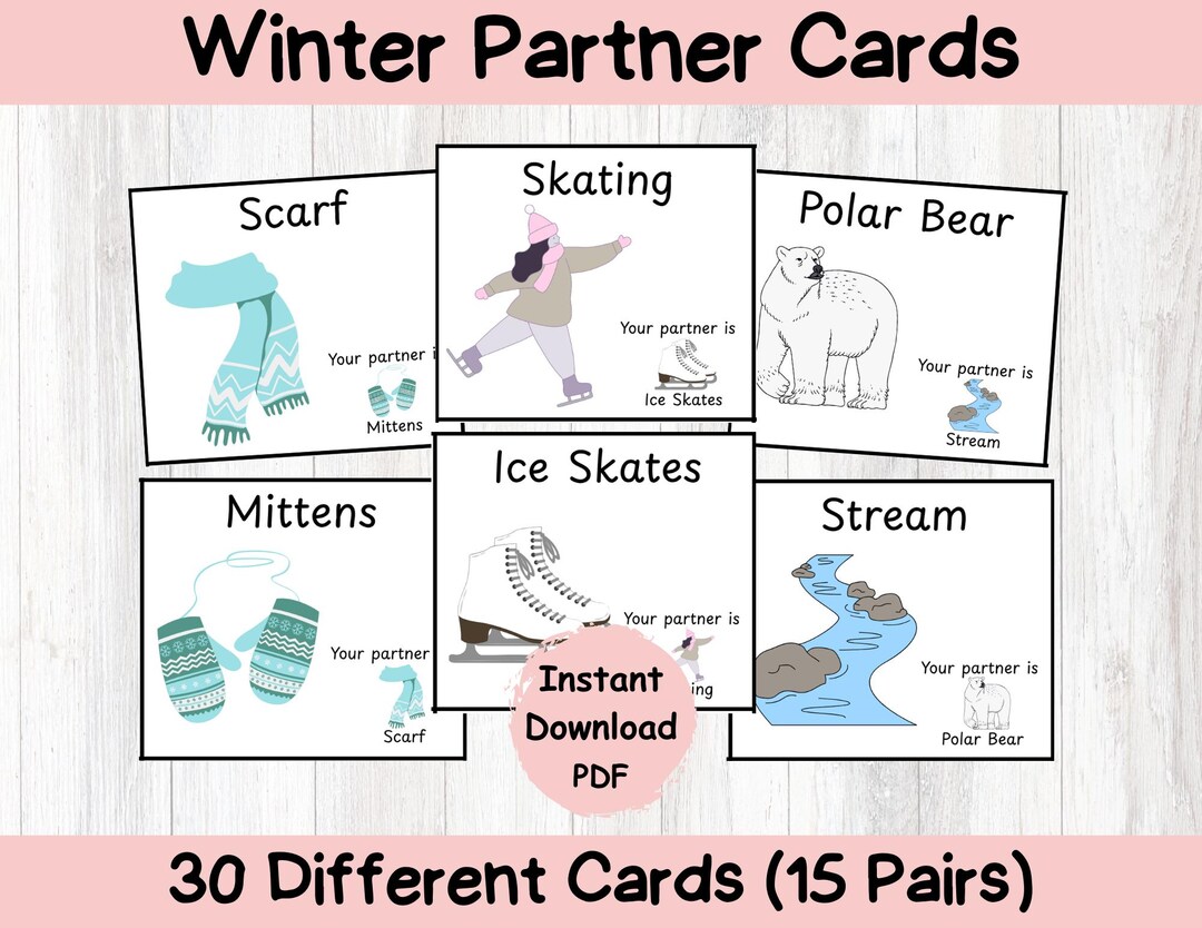Winter Partner Pairing Cards: Classroom Small Group Activity (PDF ...