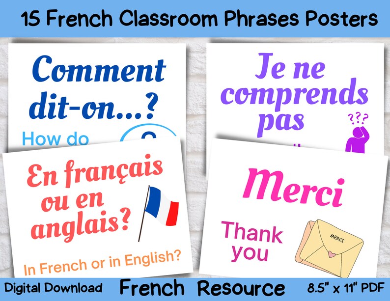 Common French Phrases Classroom Posters french Classroom Decorfrench ...